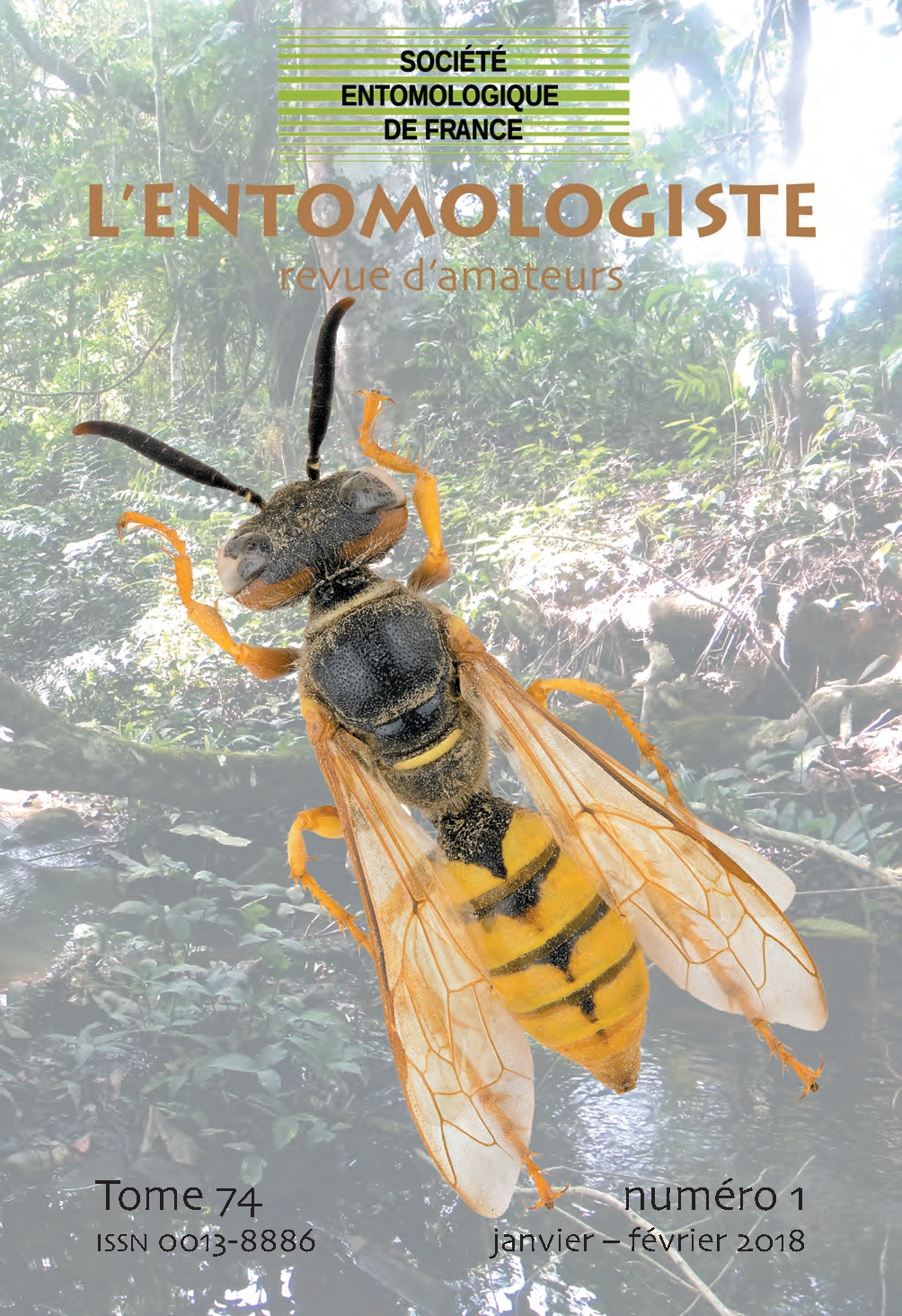 Archives des Les Tomes - L'Entomologiste